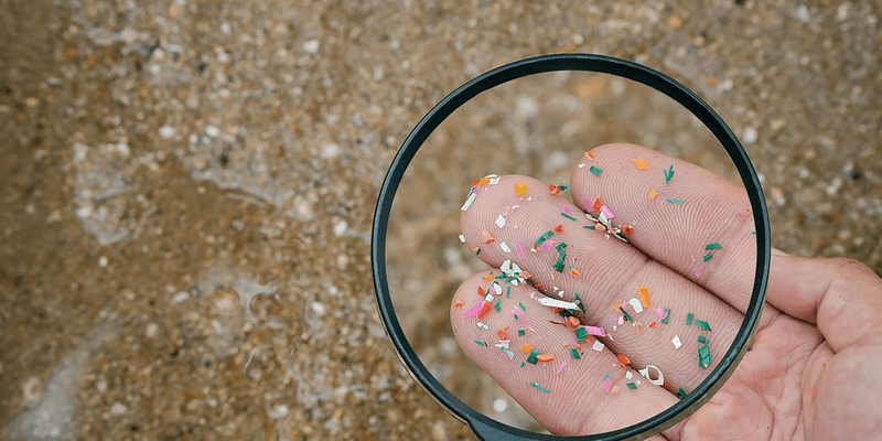 Extractable Pollutants from Microplastics to Vegetables: Incorporation ...