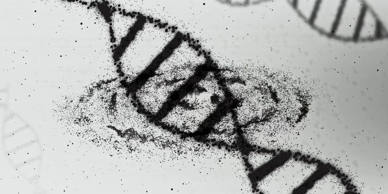 Degraded DNA Analysis Techniques: Purification, Characterization, and ...