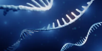Gradient Proportioning Valve (GPV) Test | Separation Science