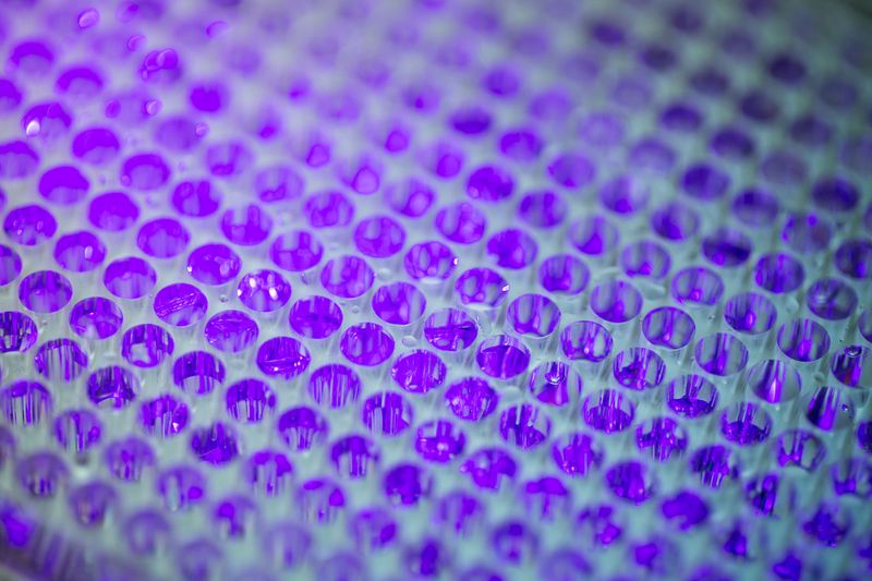 Innovative High-Throughput Screening Platform for Cancer Research ...