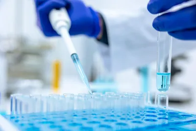 Method Validation vs Verification vs Transfer Explained for GMP Labs ...